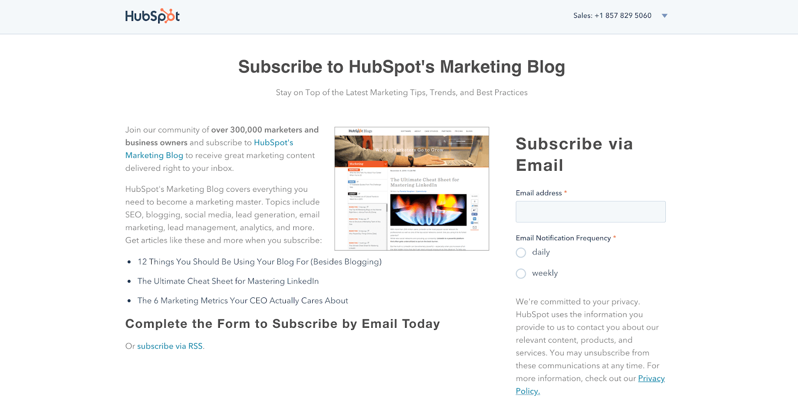 How to Grow Your Blog: The Ultimate Guide - Wordable