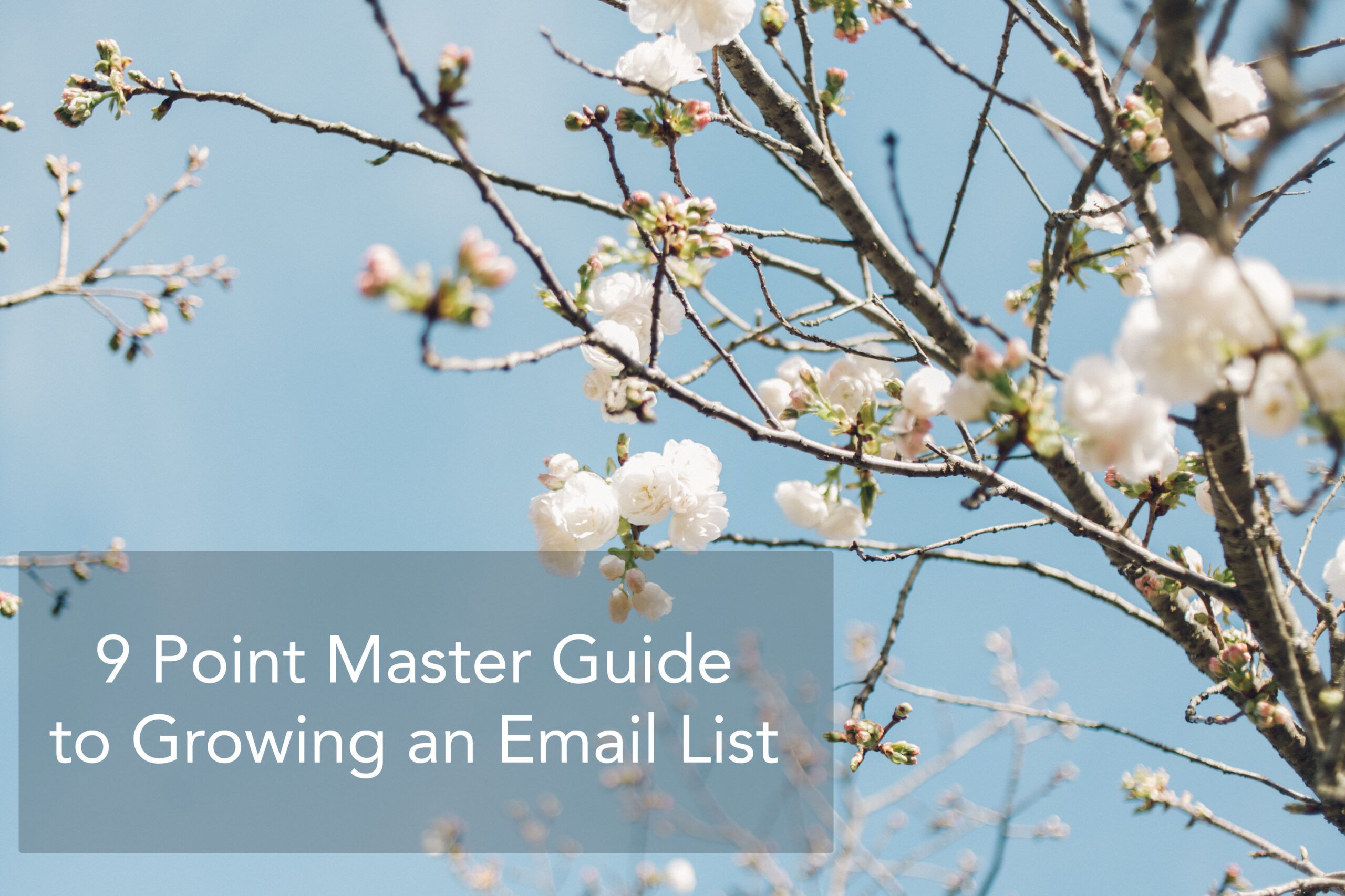 How to Grow an Email List: a 9 Point Master Guide - Wordable