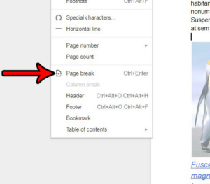 How to Edit Header in Google Docs - Wordable